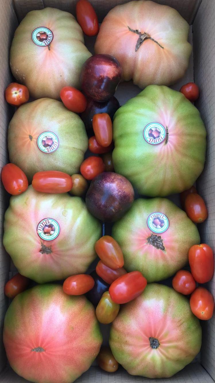 Entrevista a Daniel Caballero de Tomates Castellano Dani